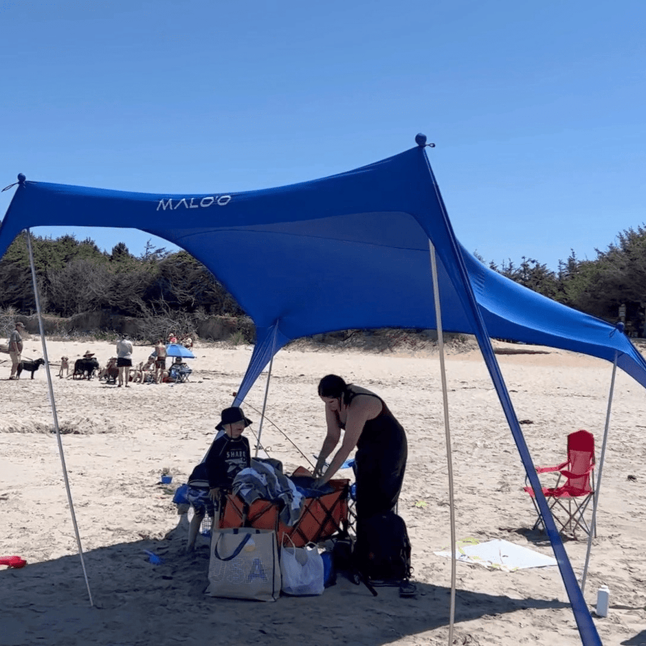 Lounge Wagon 3-in-1 | Canopy Wagons & Lounge Chair